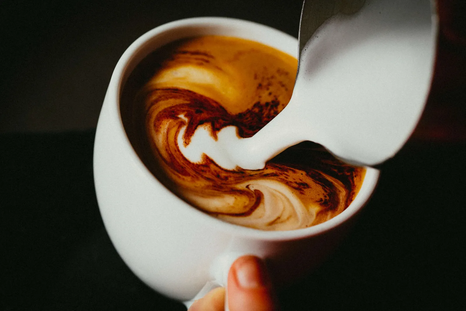 Großartiger Geschmack | Selecta