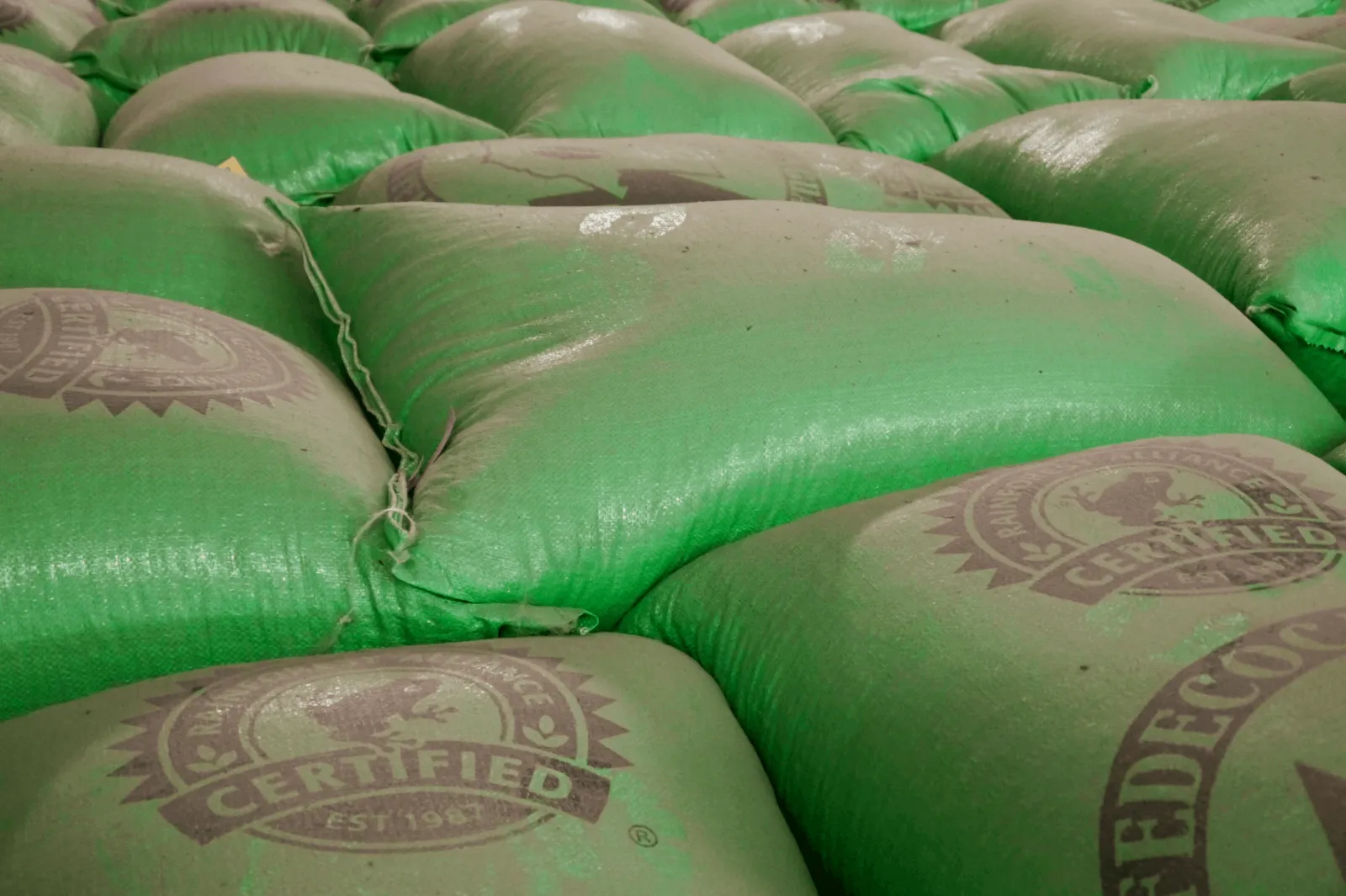 Pelican Rouge: Rainforest Alliance Certified Coffee | Selecta