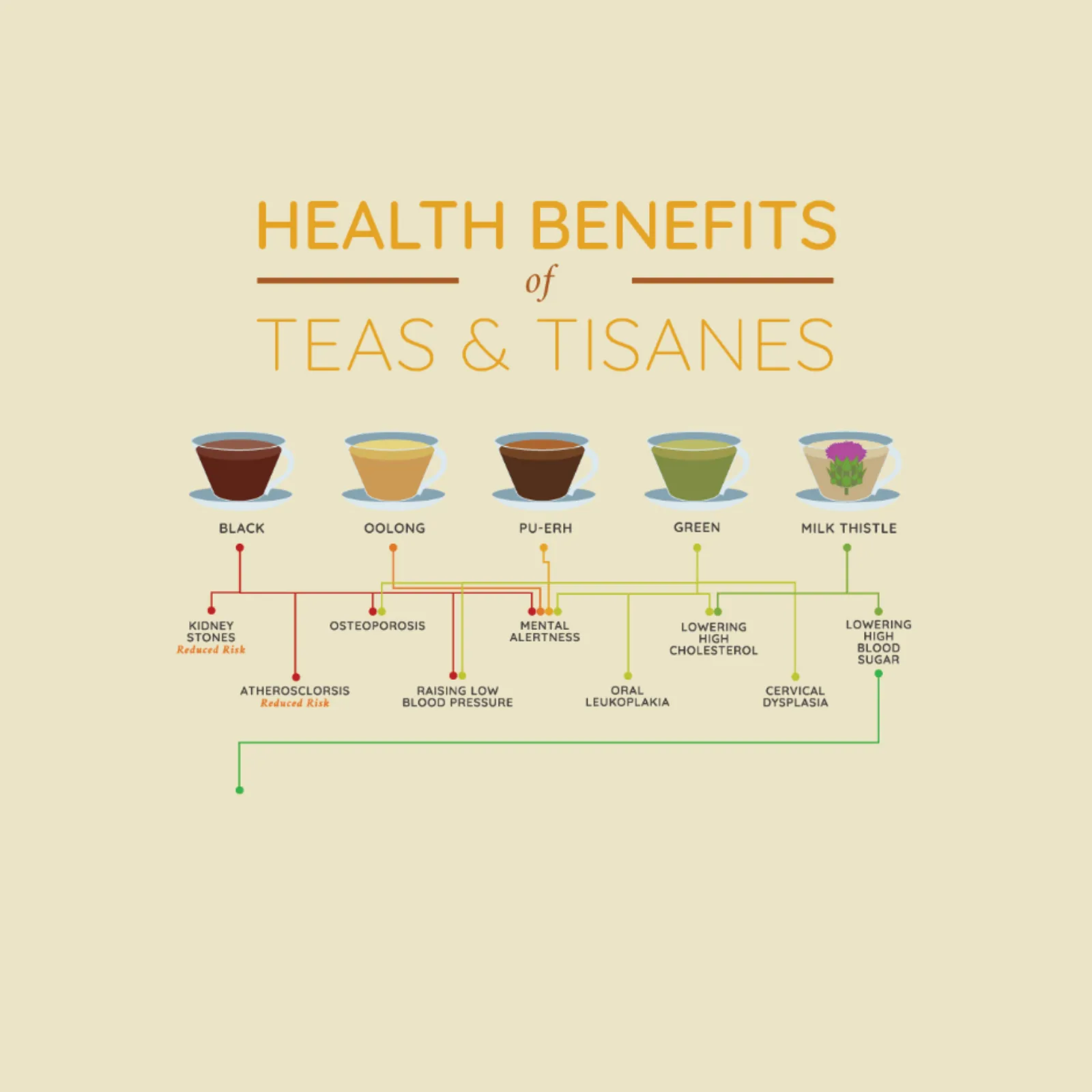 The Health Benefits of Teas & Tisanes | Selecta