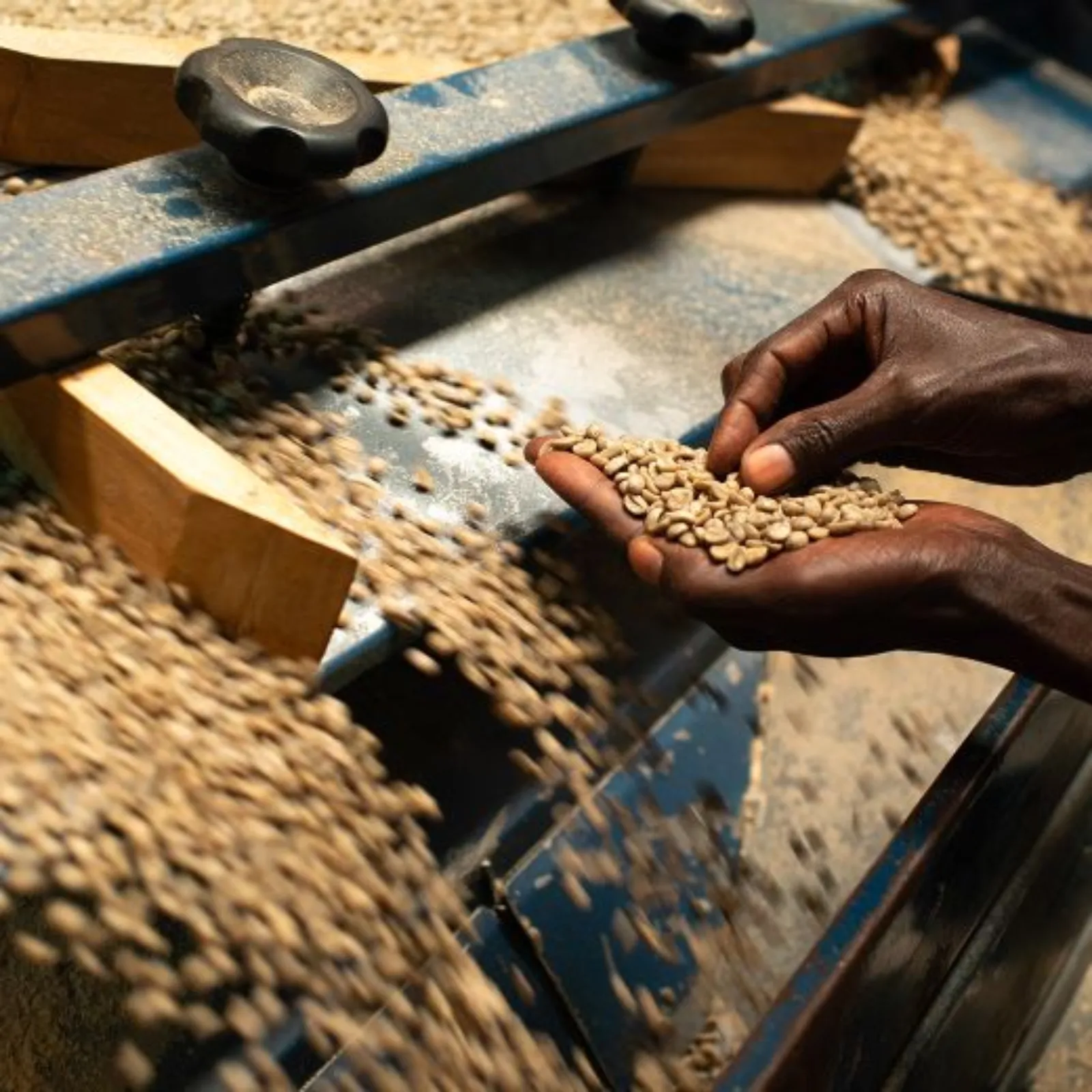 What is ethical coffee? | Selecta