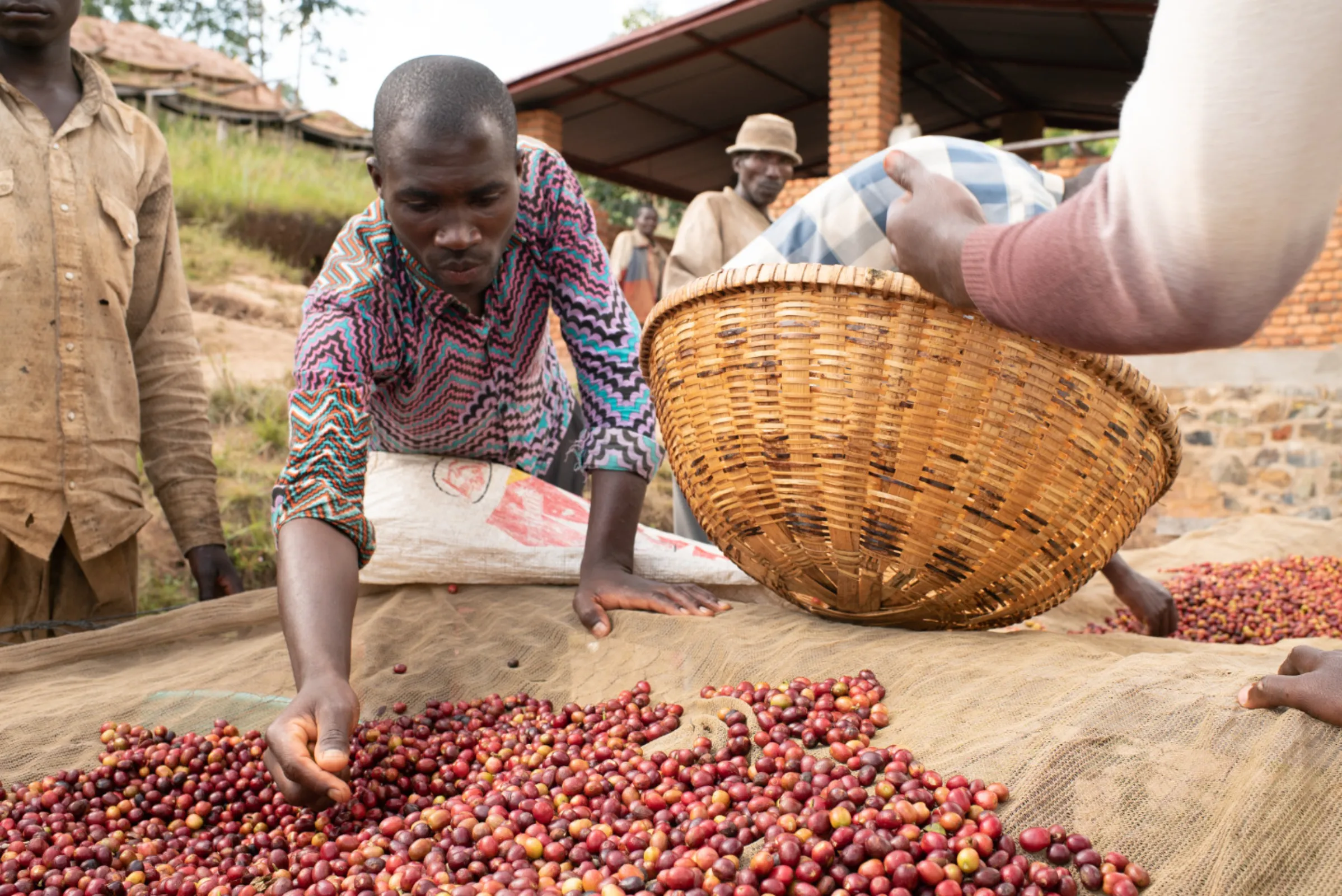 What is ethical coffee? | Selecta